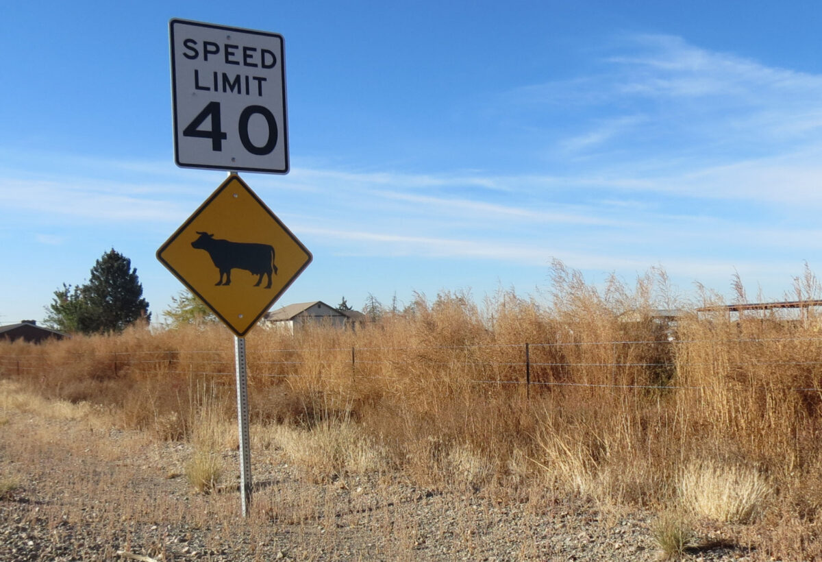 Western Weber County’s future coming into focus, planning document to ...